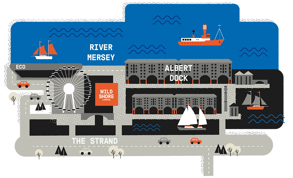 Watersports & Aqua Park | Wild Shore Liverpool | England